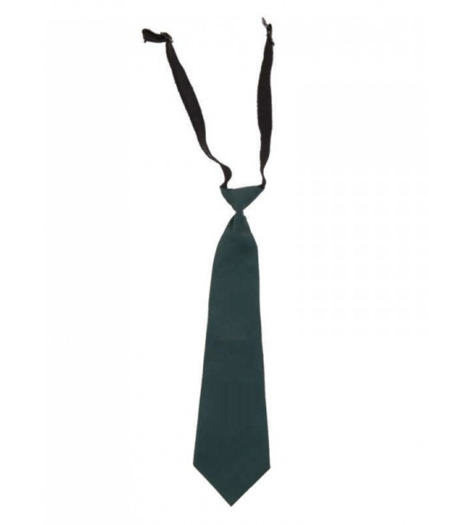 DPS Nerul School Uniform Green Tie - DPS Uniform