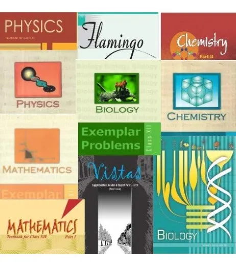 Buy Class 12 NCERT PCMB Book Set (Set of 13 Book) | Latest Edition ...
