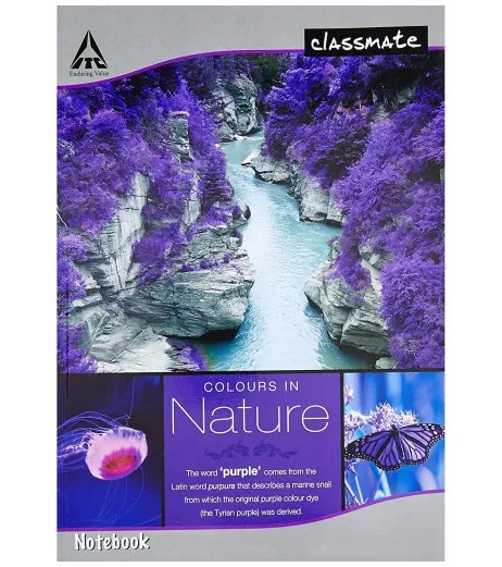 Long book A4 75 gsm 304 pages Single line 1 pc - Classmate