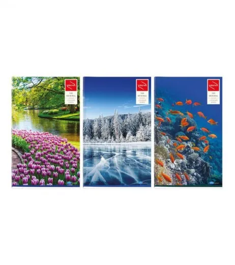 Long book King size 172 pages Single line Pack of 3 - Navneet