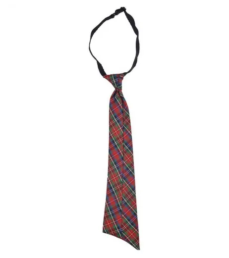 DAV School Uniform Multicolored Tie - DAV Uniform