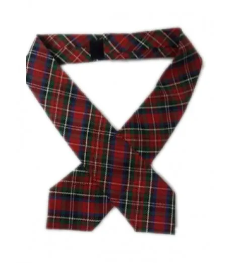 DAV School Uniform Multicolored Tie - DAV Uniform